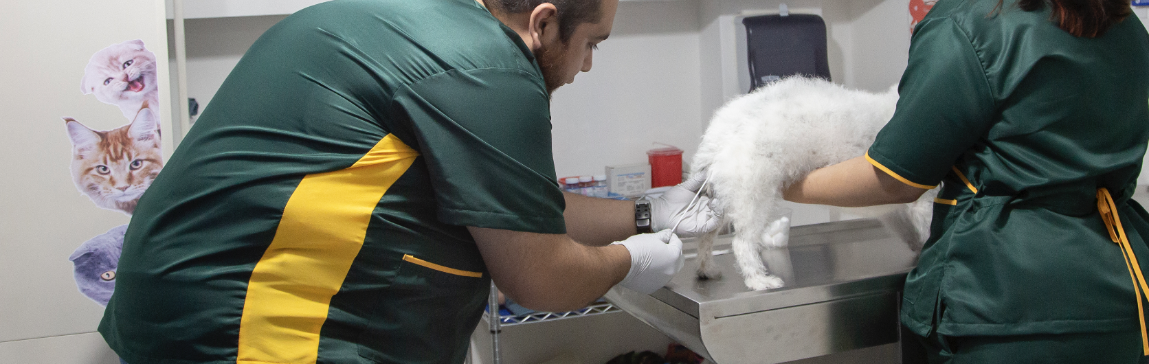 Centro Veterinario Raven